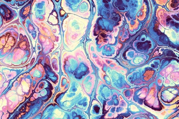 Pattern in Art • ARTMEDIA.BG